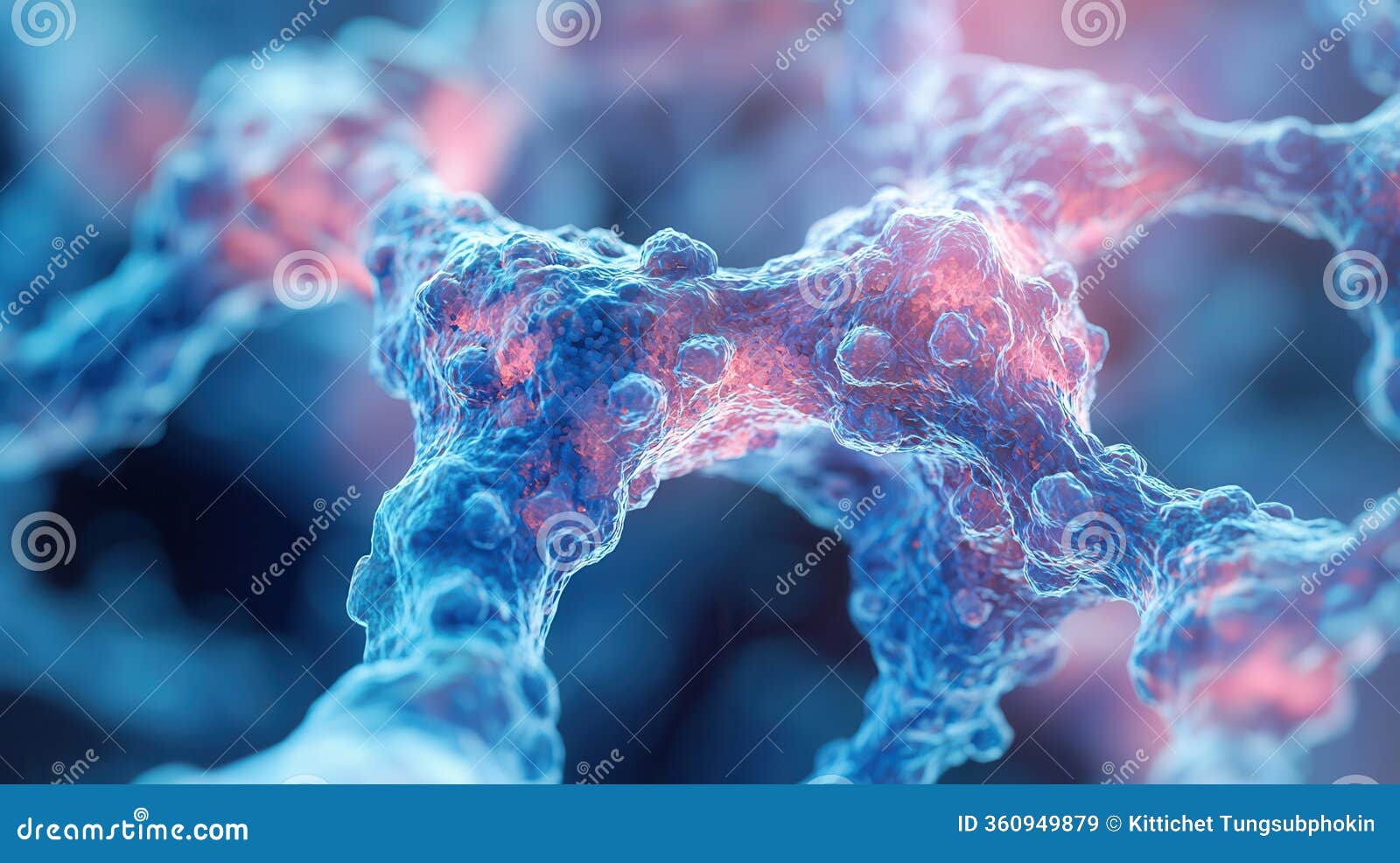 Close Up Image of a Cell with Red and Blue Cells Under a Microscope ...