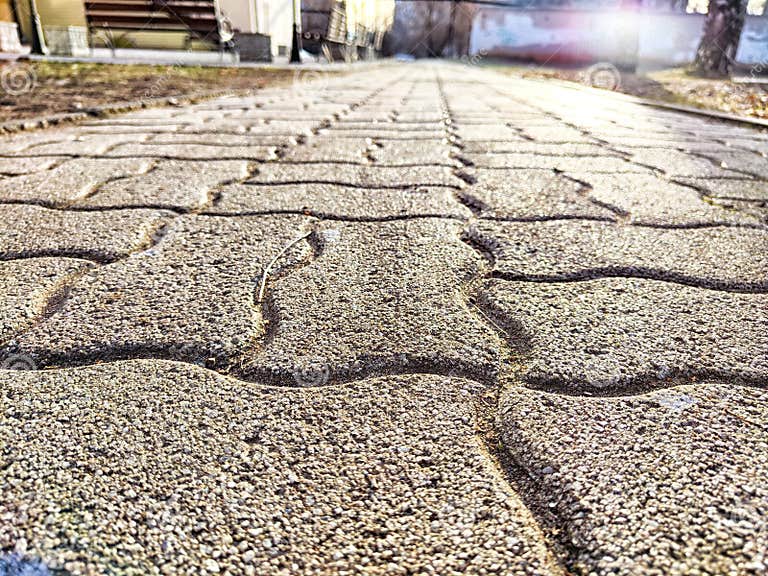 A Close-up Image of a Cobblestone Path in a Park, with the Perspective ...
