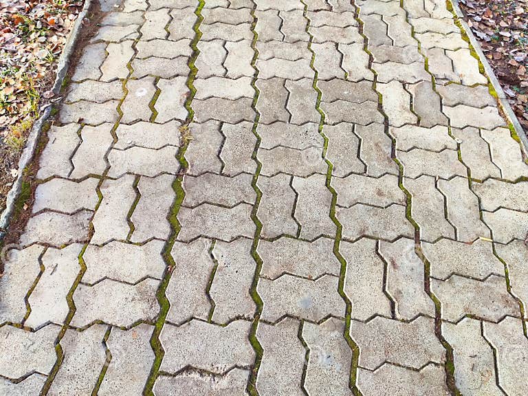 A Close-up Image of a Cobblestone Path in a Park, with the Perspective ...