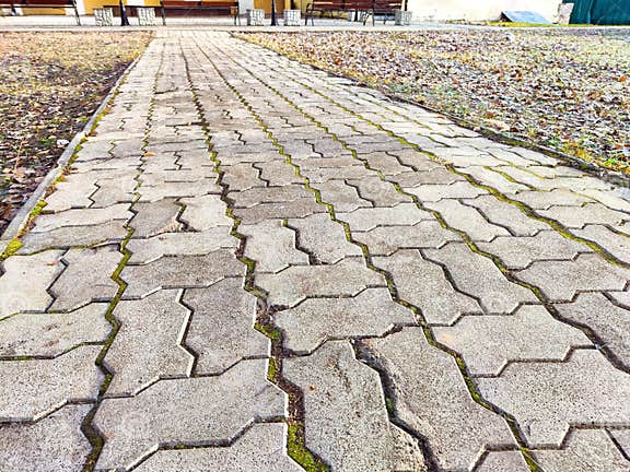 A Close-up Image of a Cobblestone Path in a Park, with the Perspective ...