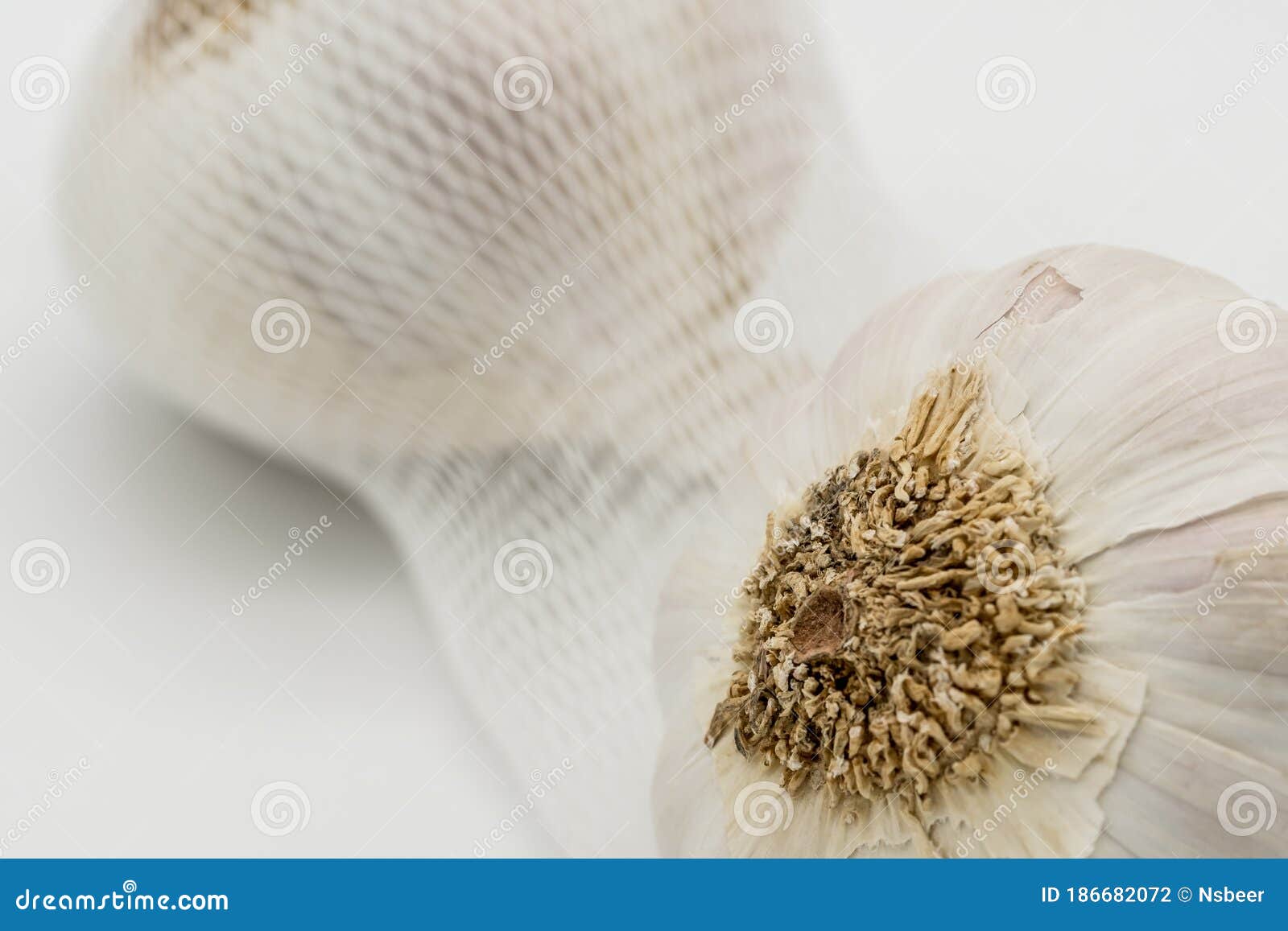 Close-up Image of Dried Garlic Bulbs Shown with the White Plastic ...