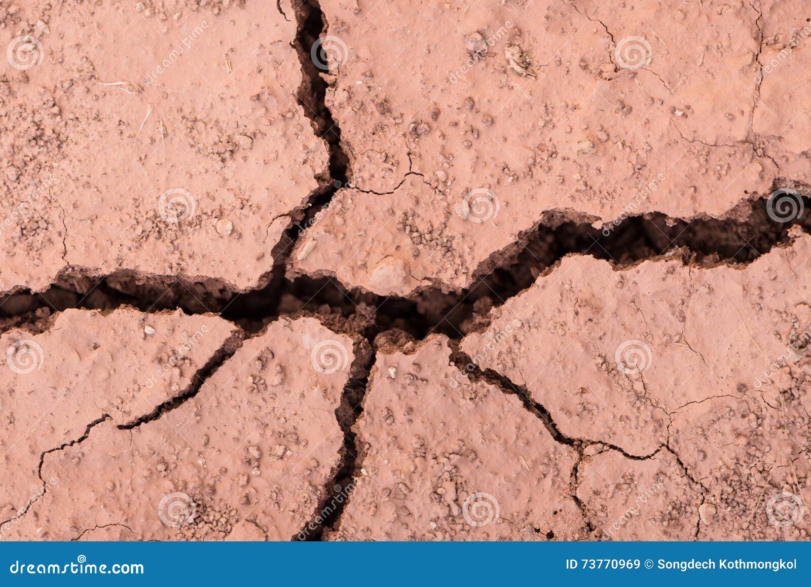 Close-up Image of Dry Cracked Ground Stock Image - Image of sprout ...