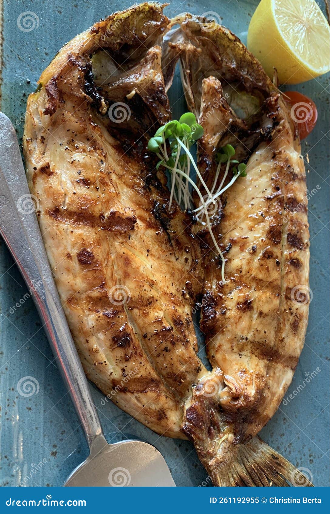 Boori Fish Stock Photos - Free & Royalty-Free Stock Photos from Dreamstime