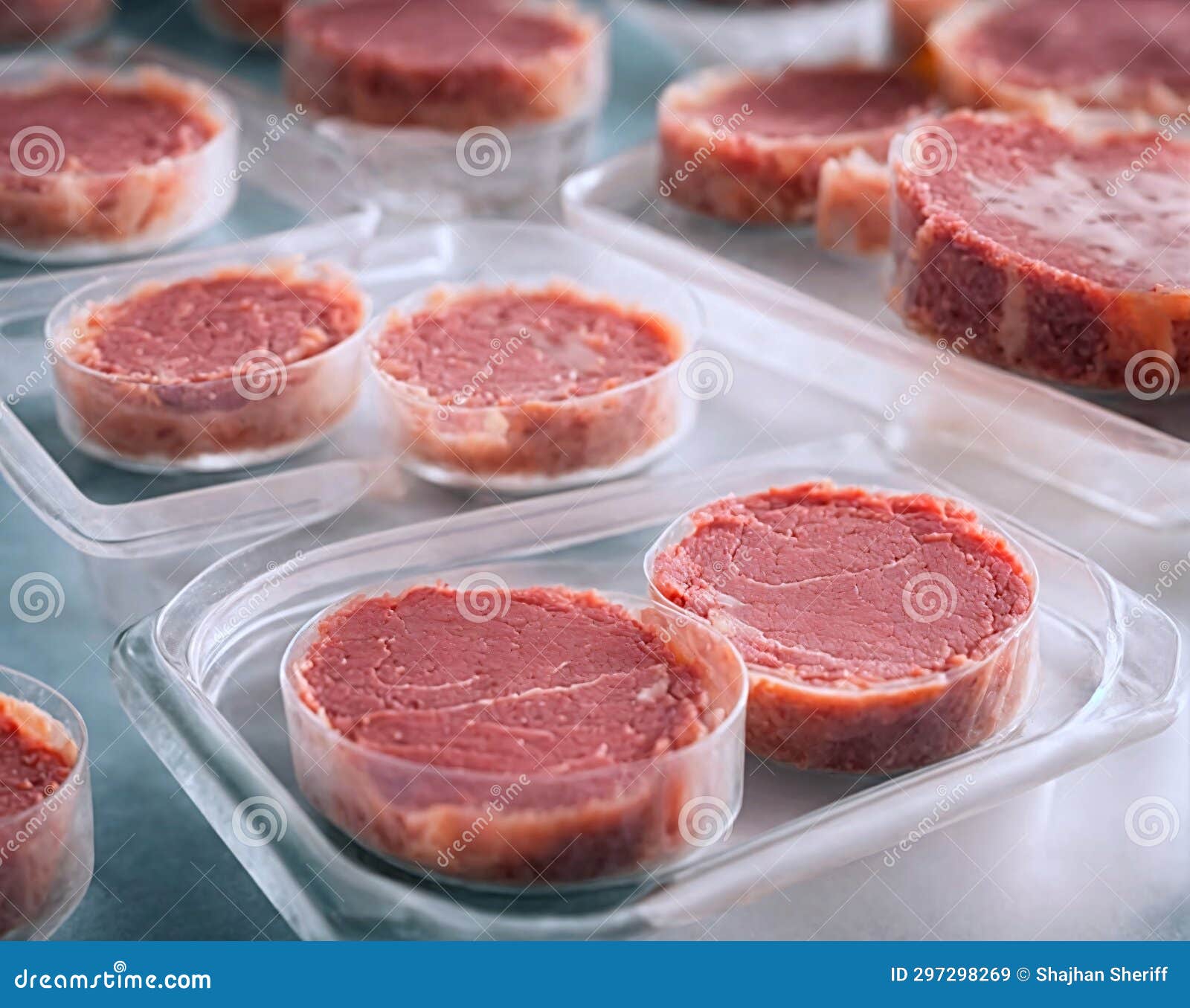 Lab Grown Meat Concept - Meat Being Grown In Bioreactor Royalty-Free ...