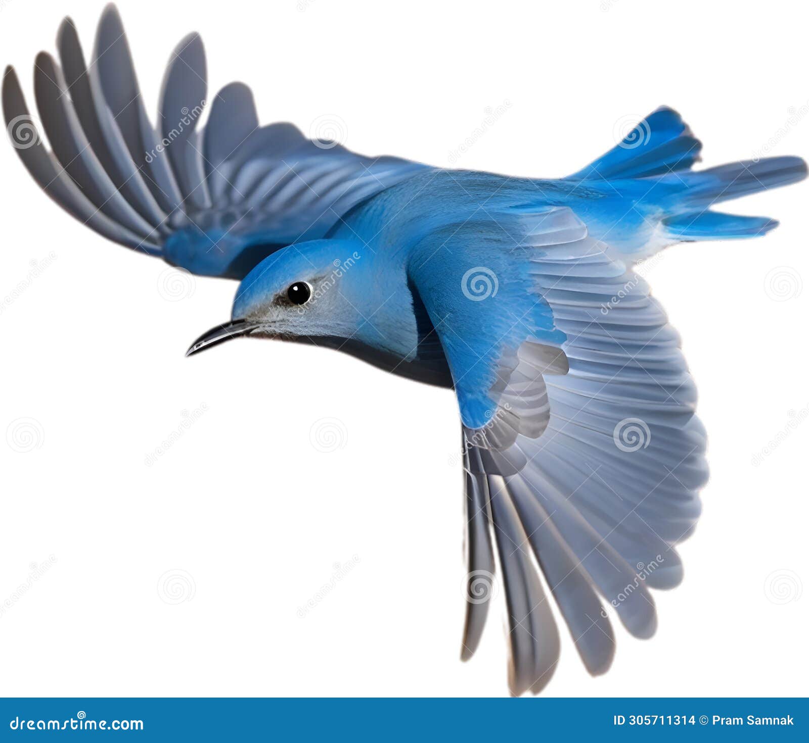 Close-up Image of a Mountain Bluebird. AI-generated. Stock Illustration ...