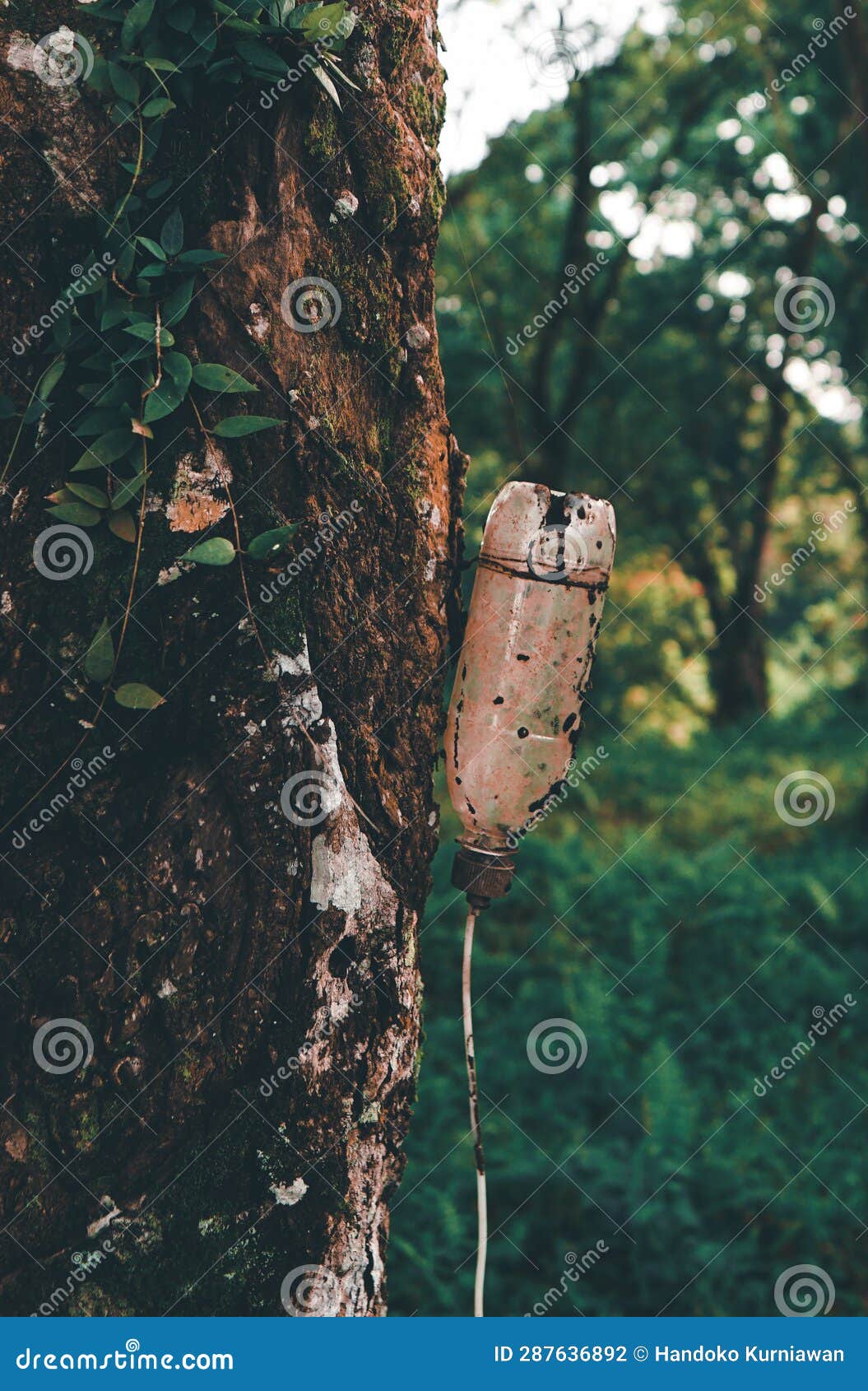 Close Up Image of an Old Bottle Used As a Container for Rubber Tree Sap ...