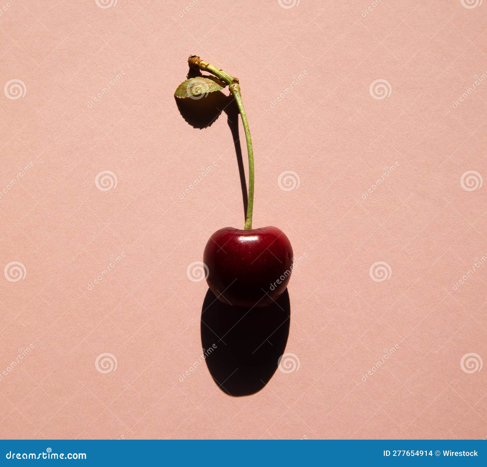 Close-up Image of a Ripe, Red Cherry, with Its Stem Still Attached, on ...