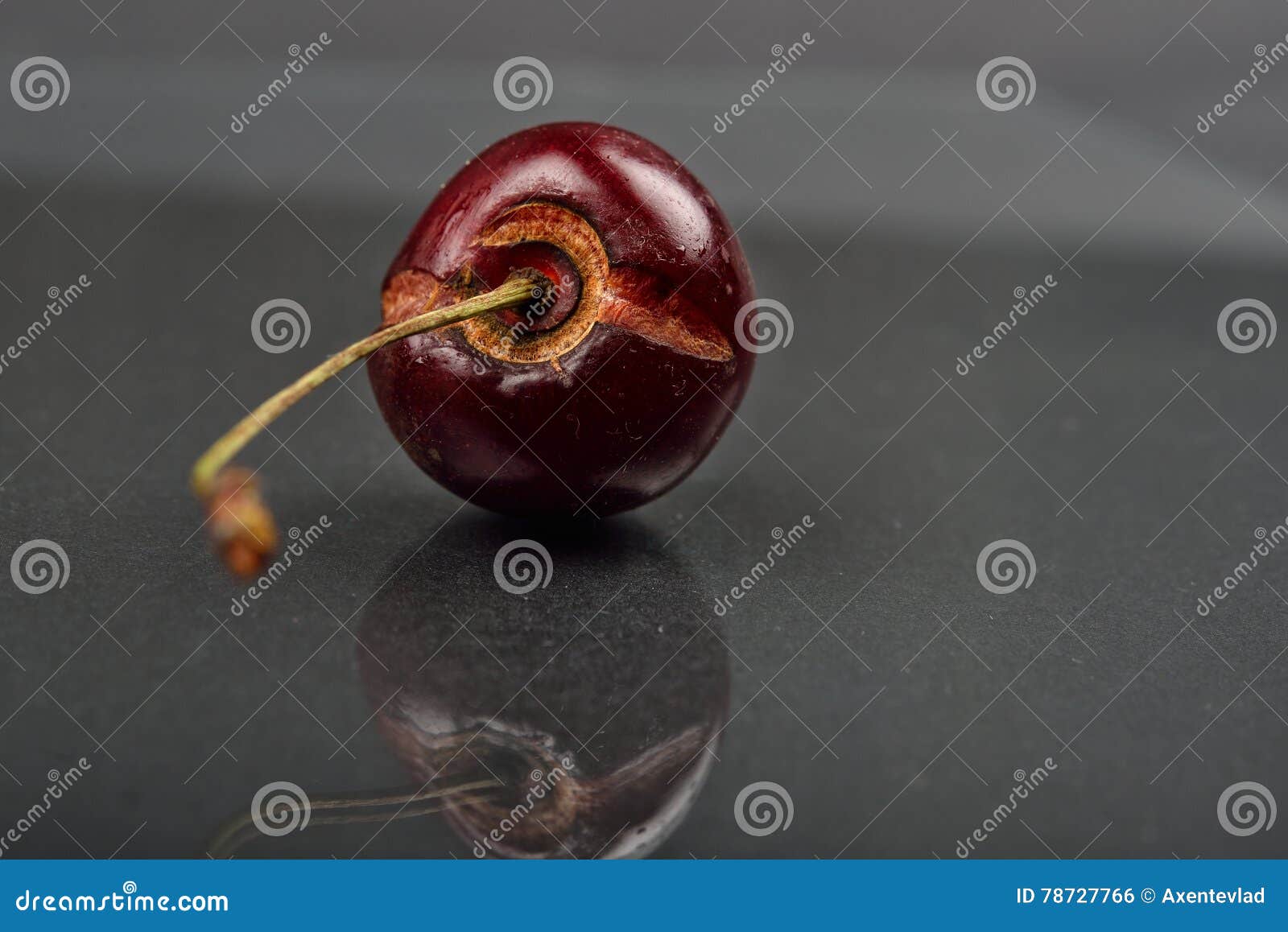 Close Up of Image of Rotten Red Cherry Fruit on Reflective Black Stock ...