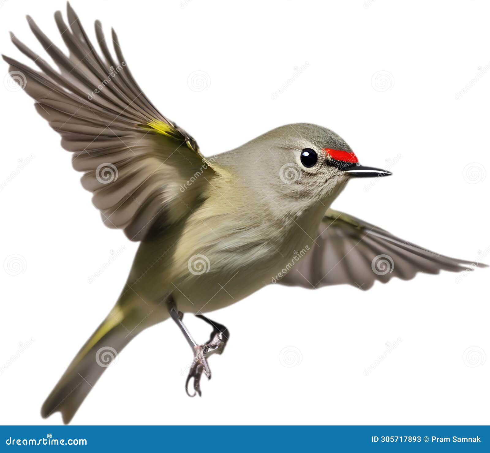 Ruby-crowned Kinglet Bird. Bird Clipart. AI-generated. Stock ...