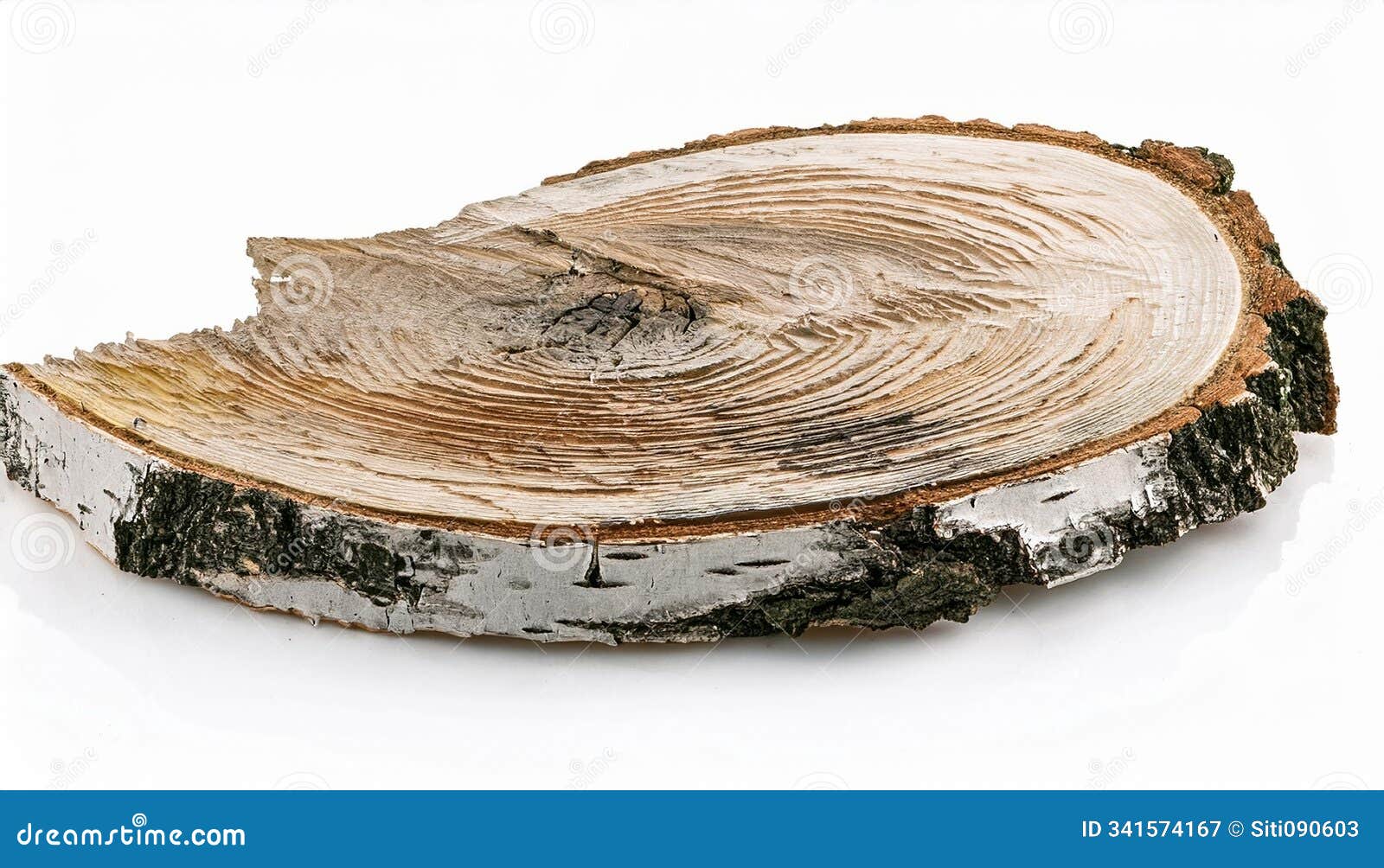 Rustic Birch Wood Slice Natural Wooden Texture Circular Tree Cross ...