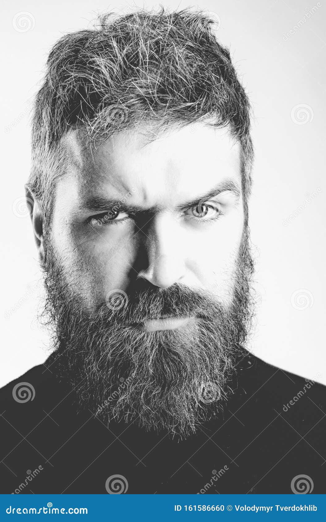 Close-up Image of Serious Brutal Bearded Man on White Background ...