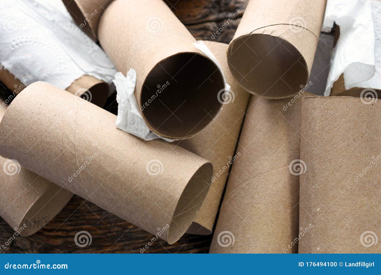 Empty Toilet Tissue Rolls stock photo. Image of soft - 176494100