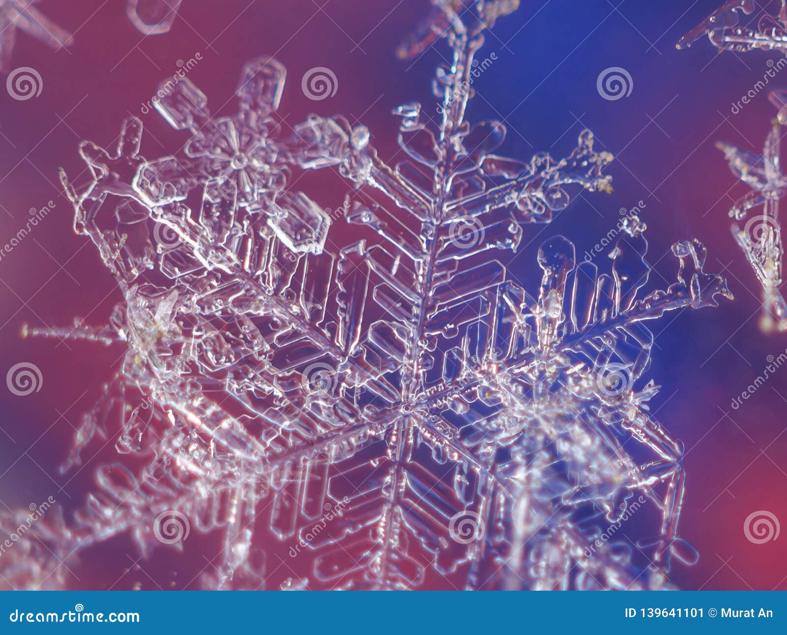 Close-up Image of Single Snow Flake on Colorful Background Stock Image ...