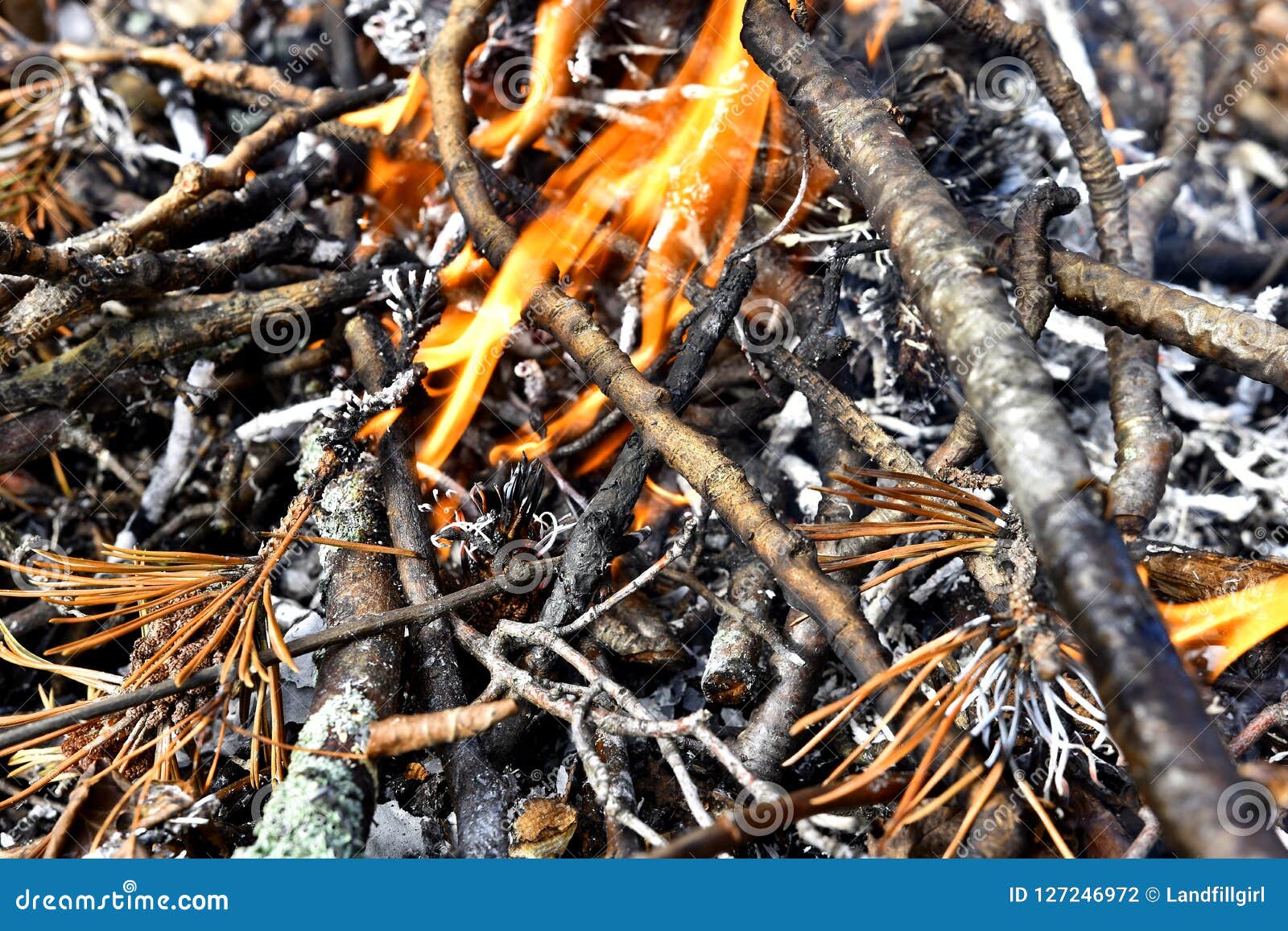 Wood Fire Background stock photo. Image of flame, bonfire - 127246972