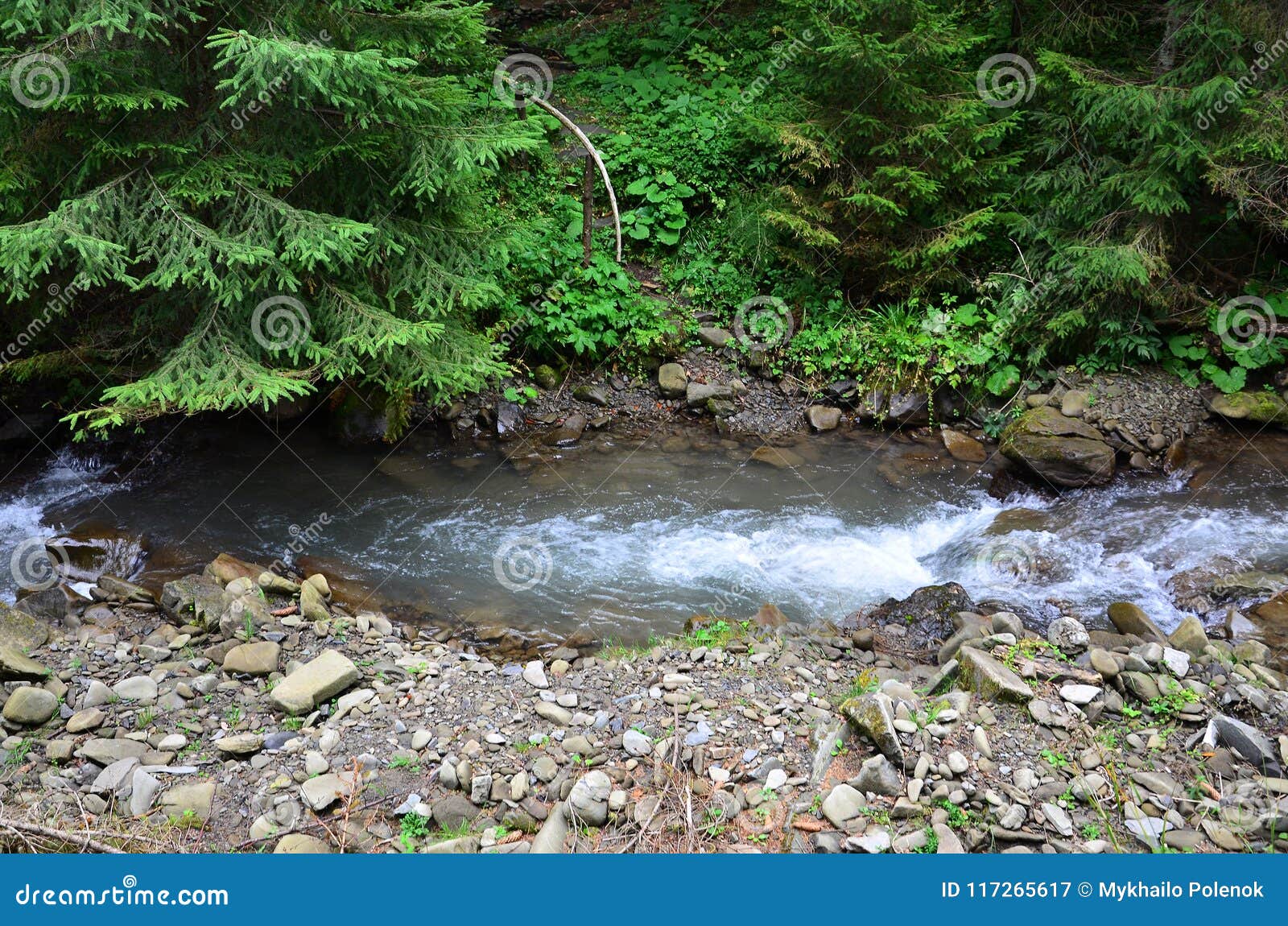 Close-up Image of a Small River in a Mountainous Area Stock Image ...