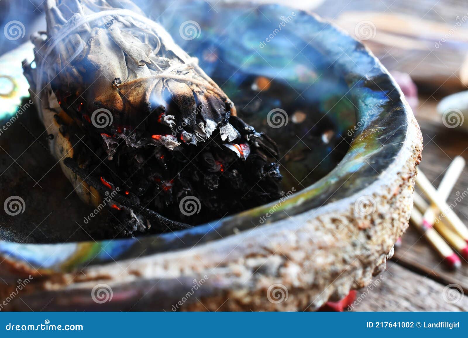 Burning White Sage Bundle stock photo. Image of plant - 217641002