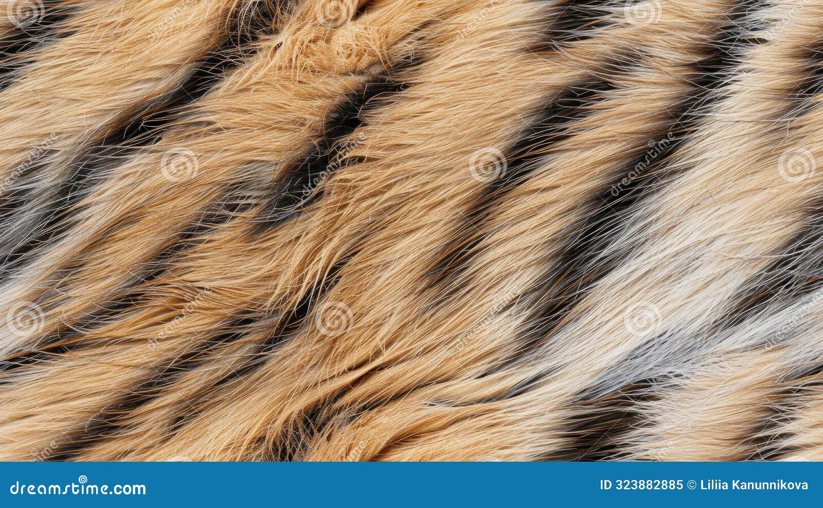 A Close-up Image of a Tigers Fur with Black Stripes, Showcasing the ...