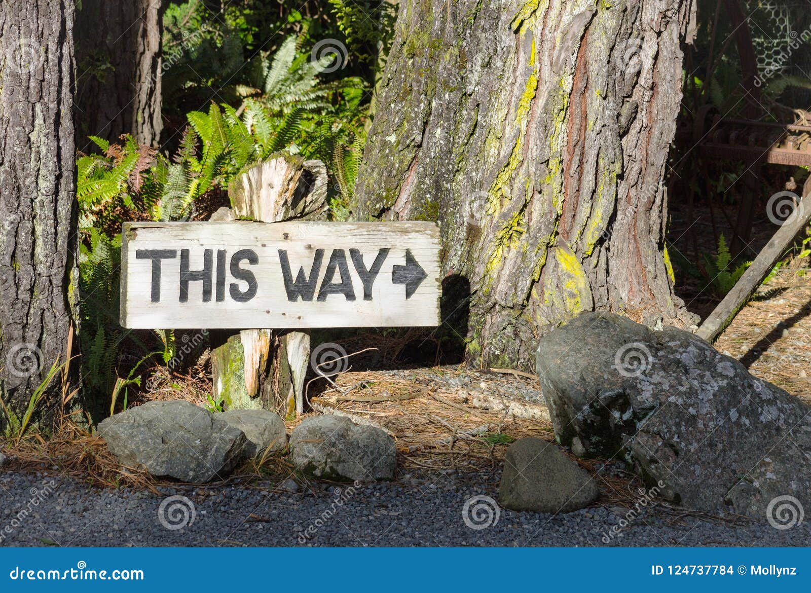 This Way sign post stock photo. Image of sign, information - 124737784