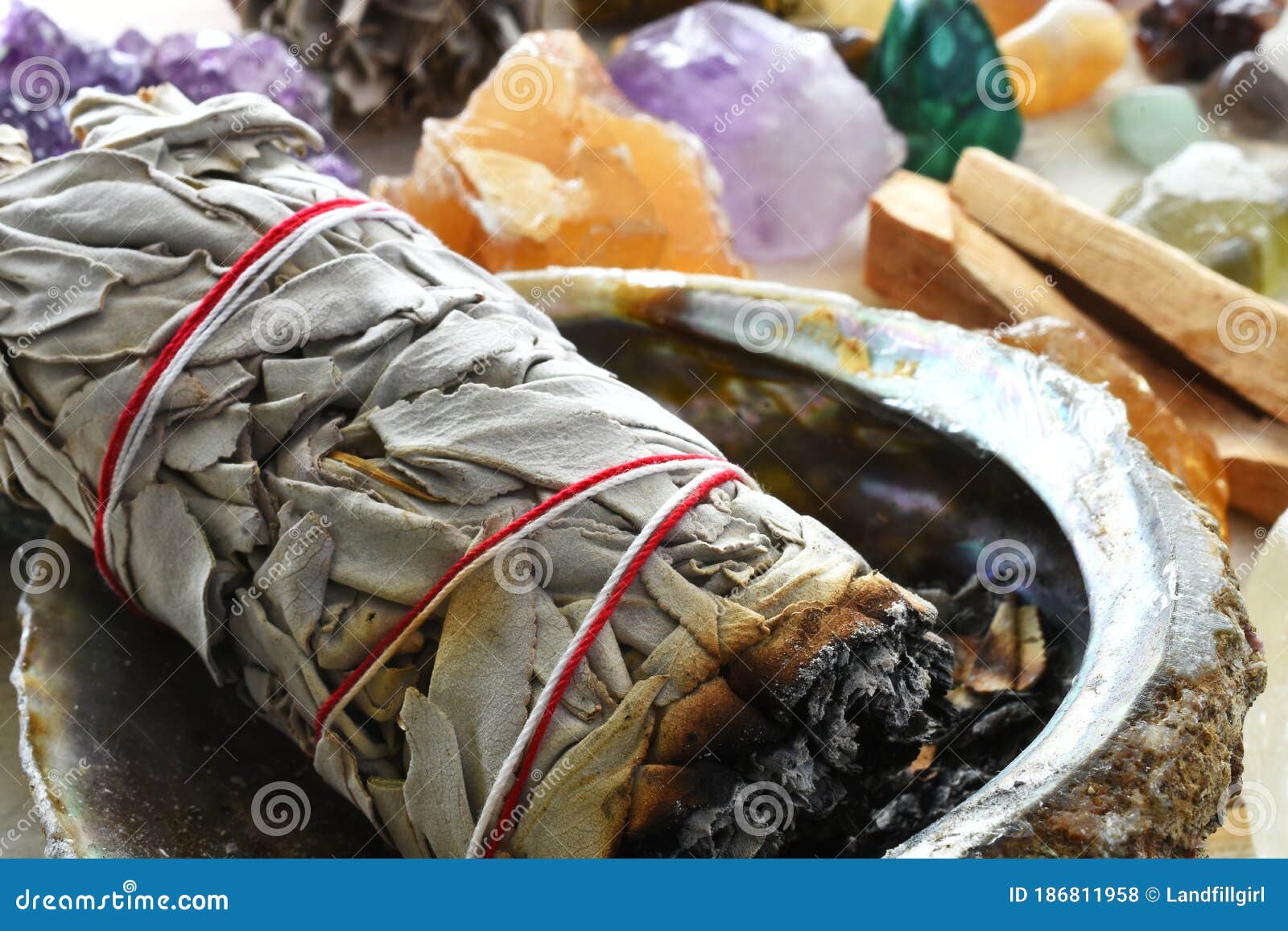 White Sage and Abalone Shell Stock Photo - Image of natural, ritual ...