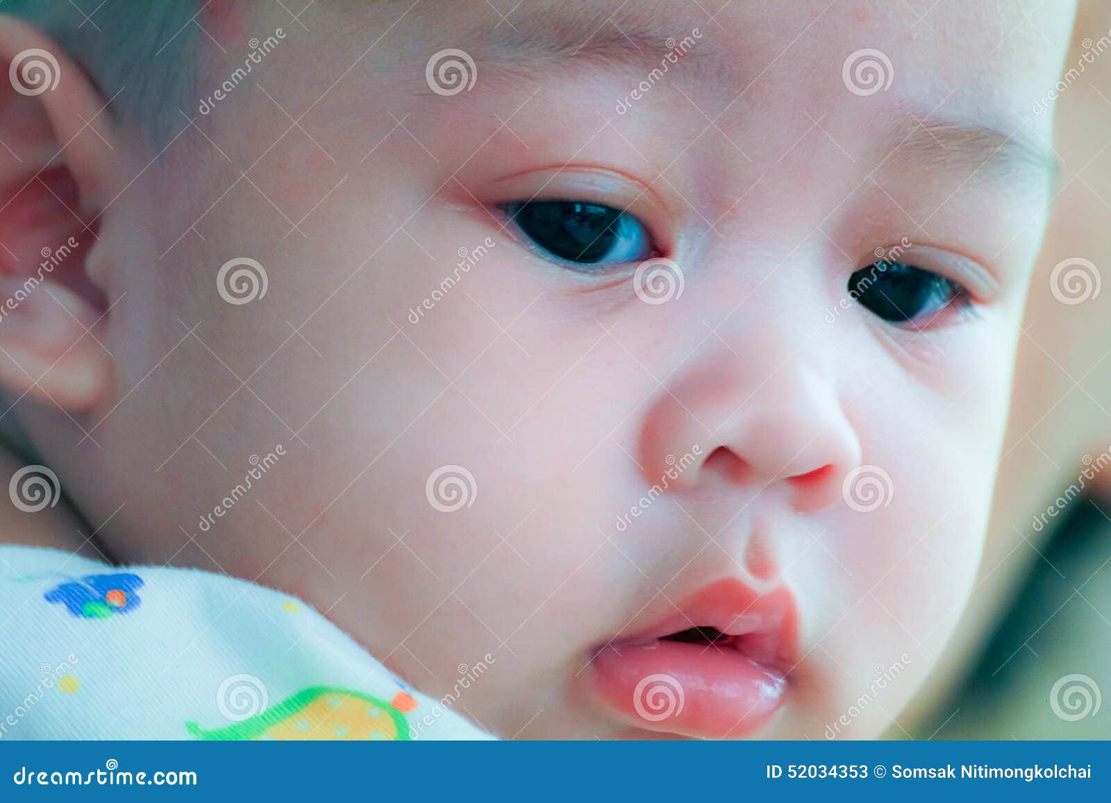 Close Up of Innocent Face of Young Baby Stock Image - Image of ...
