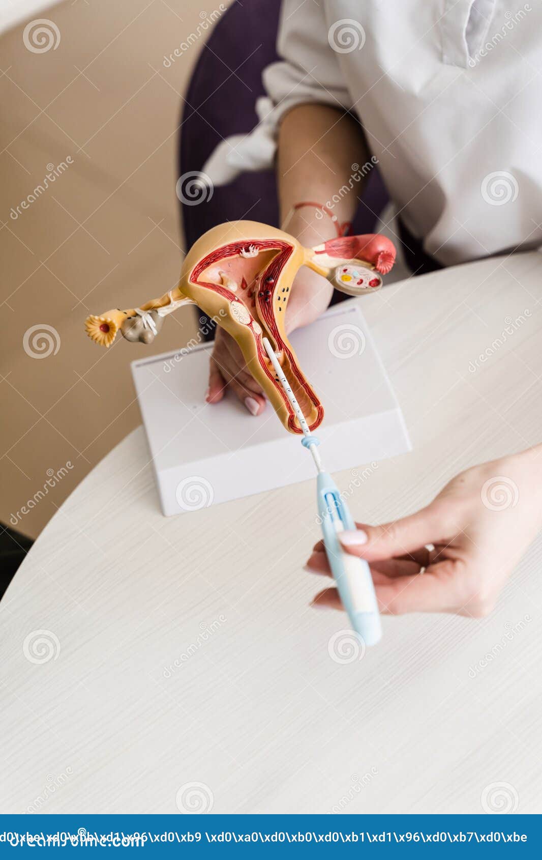Close-up Insert of Intrauterine Device IUD into Your Uterus Model. IUD ... Close-up Insert of Intrauterine Device IUD into Your Uterus Model. IUD ...