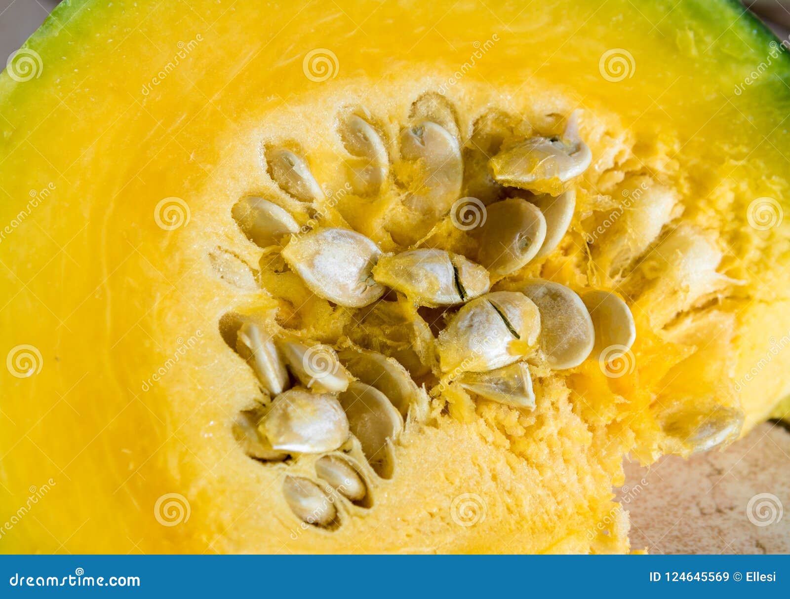 Close Up of the Inside of Fresh Green Pumpkin Stock Image - Image of ...