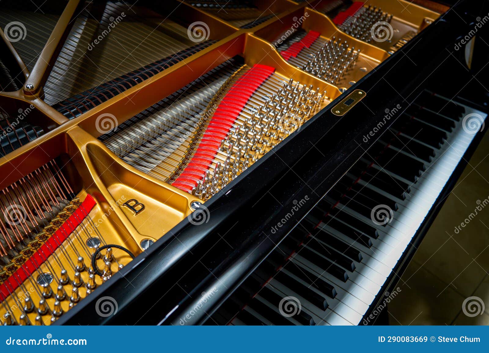 A Close-up of the Internal String Structure of a Top Grand Piano Stock ...