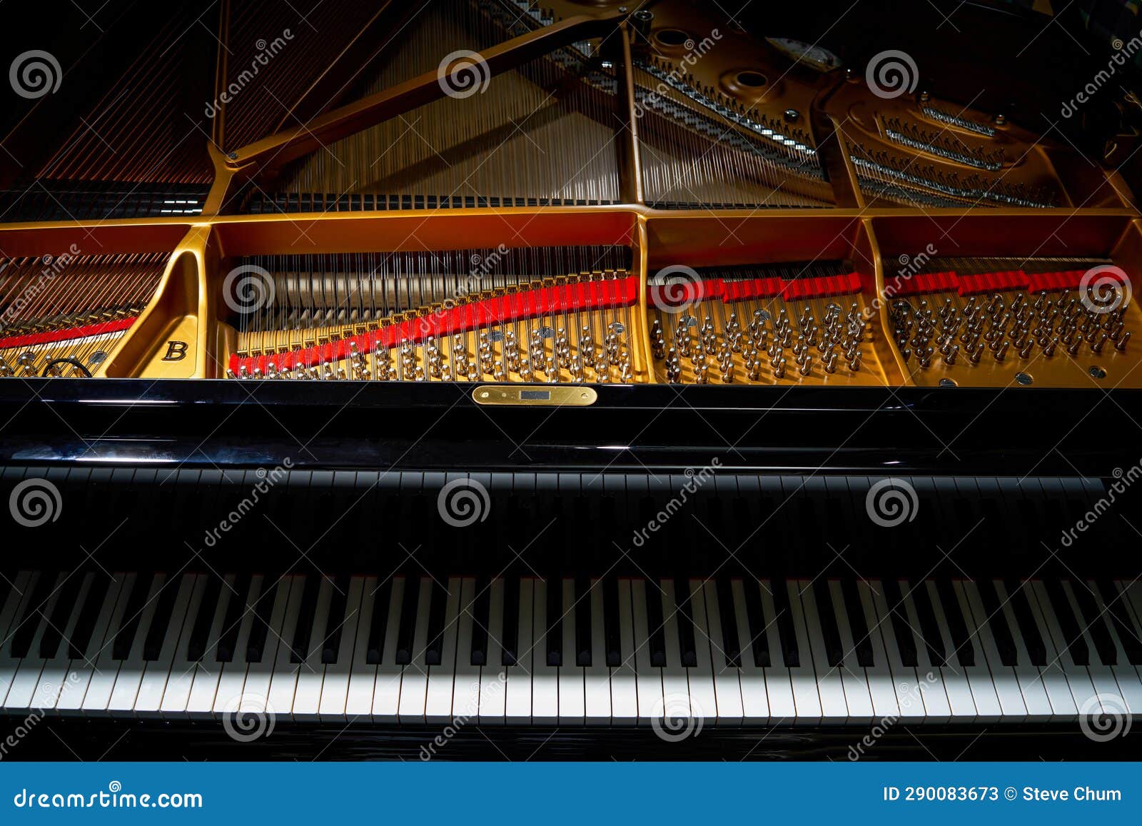 A Close-up of the Internal String Structure of a Top Grand Piano Stock ...
