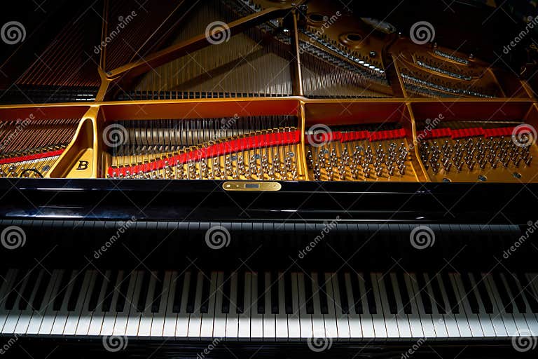 A Close-up of the Internal String Structure of a Top Grand Piano Stock ...