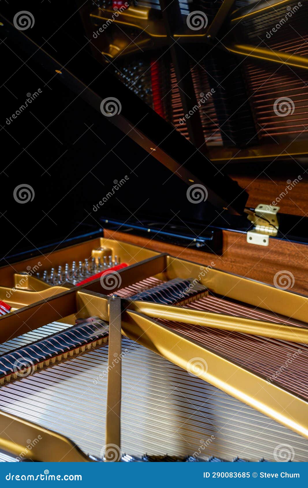 A Close-up of the Internal String Structure of a Top Grand Piano Stock ...