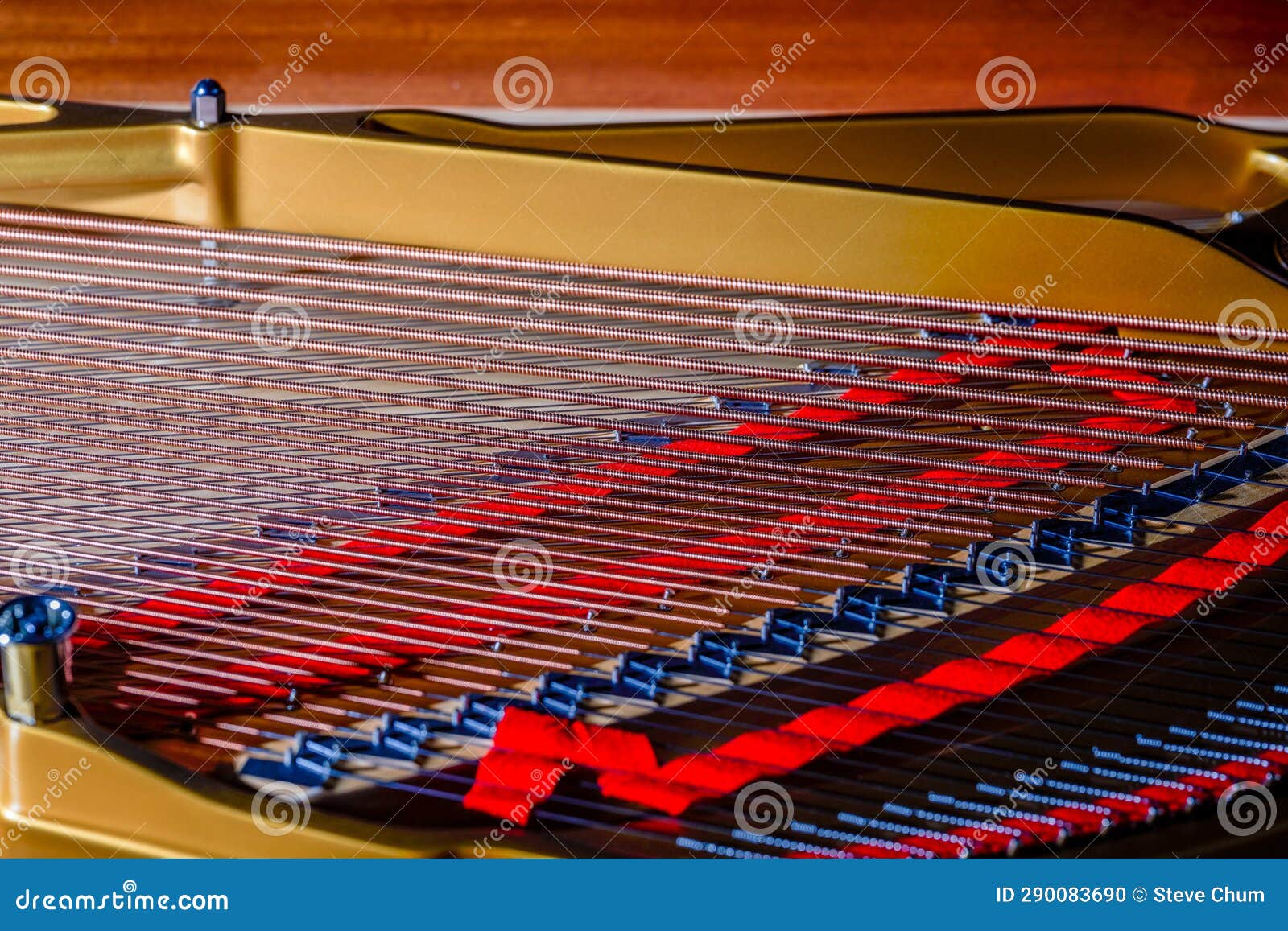 A Close-up of the Internal String Structure of a Top Grand Piano Stock ...