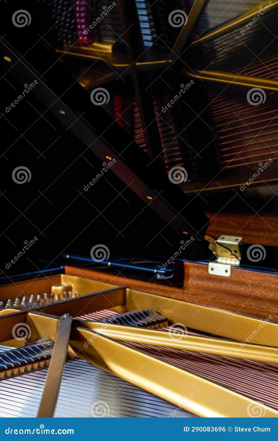 A Close-up of the Internal String Structure of a Top Grand Piano Stock ...