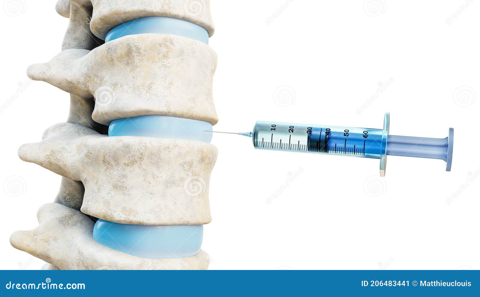 Human Spinal Column With Backbone And Spine Skeletal Anatomy Outline ...
