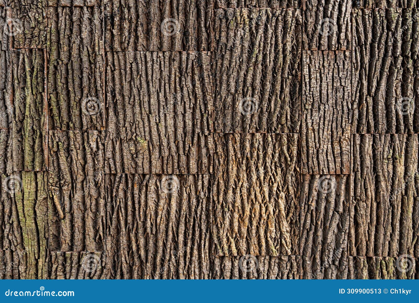 Wood Texture Vertical Ridges Stock Images by Megapixl