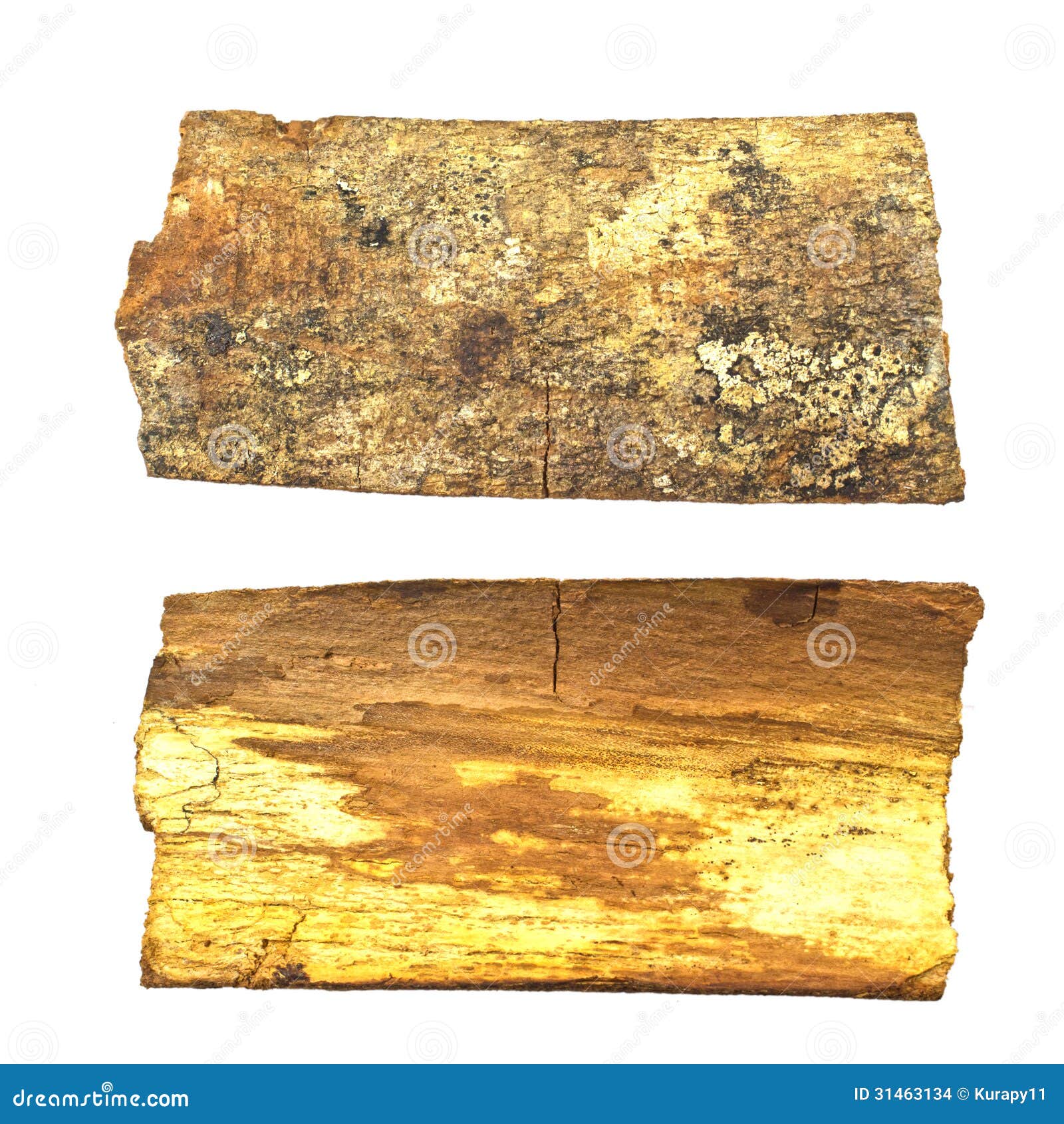 Close-up of Isolated Broken Stub Log Bark Stock Photo - Image of grunge ...