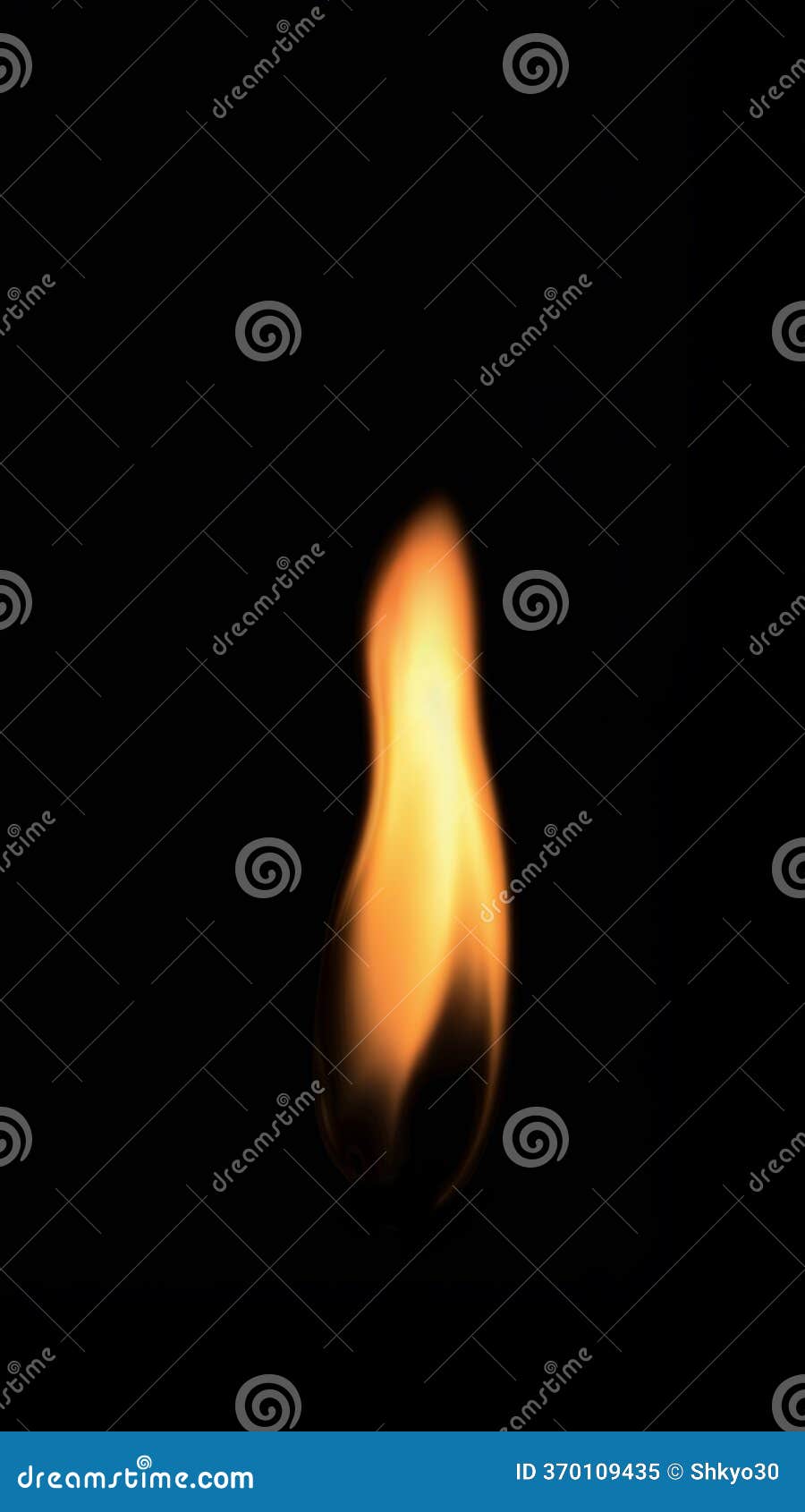 Set Of Isolated Straight Ropes And Tied Strings Vector Illustration ...