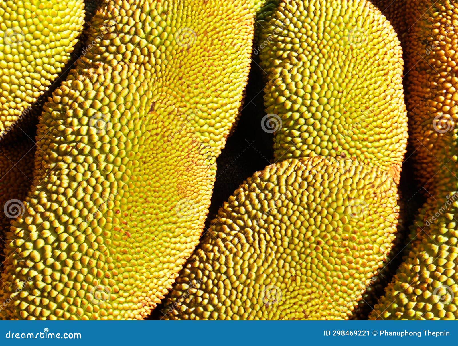 Jackfruit Texture And Seamless Stone Pattern Cartoon Vector ...