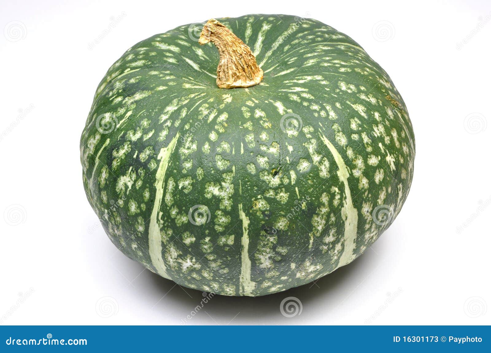 Close-up Japanese Pumpkin stock image. Image of autumn - 16301173