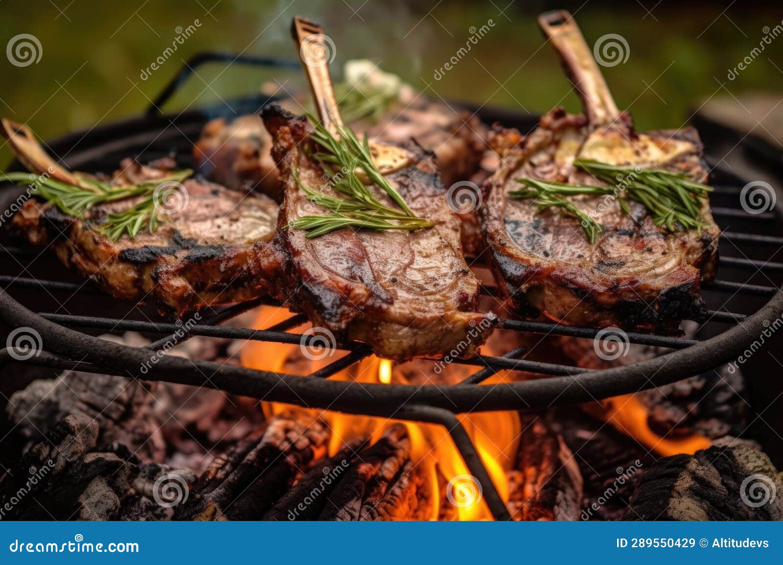 Close-up of Juicy Lamb Chops Cooking on Campfire Stock Image - Image of ...
