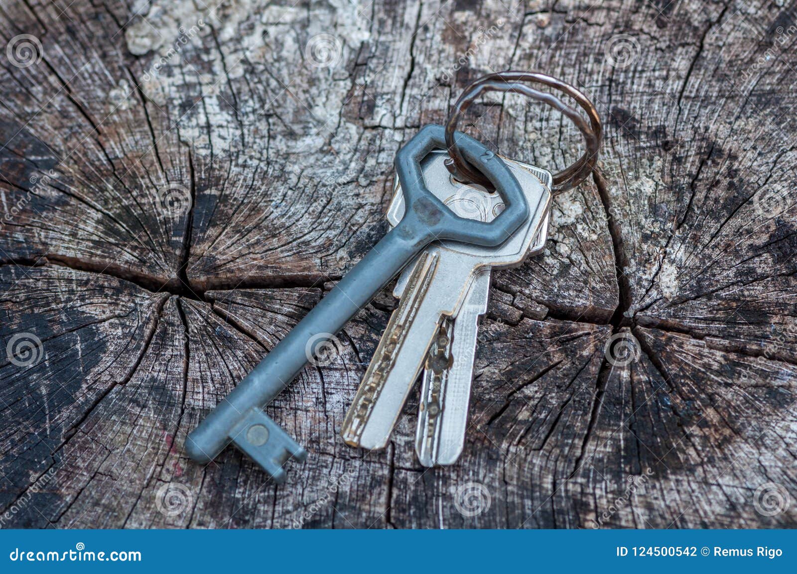 Key on a log stock photo. Image of business, symbol - 124500542