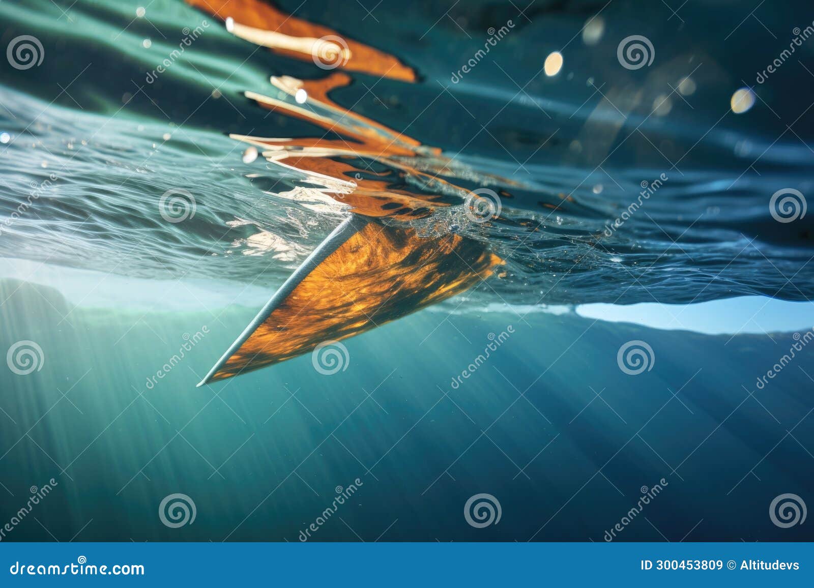 Close-up of a Kitesurfing Boards Fin through the Water Stock Image ...
