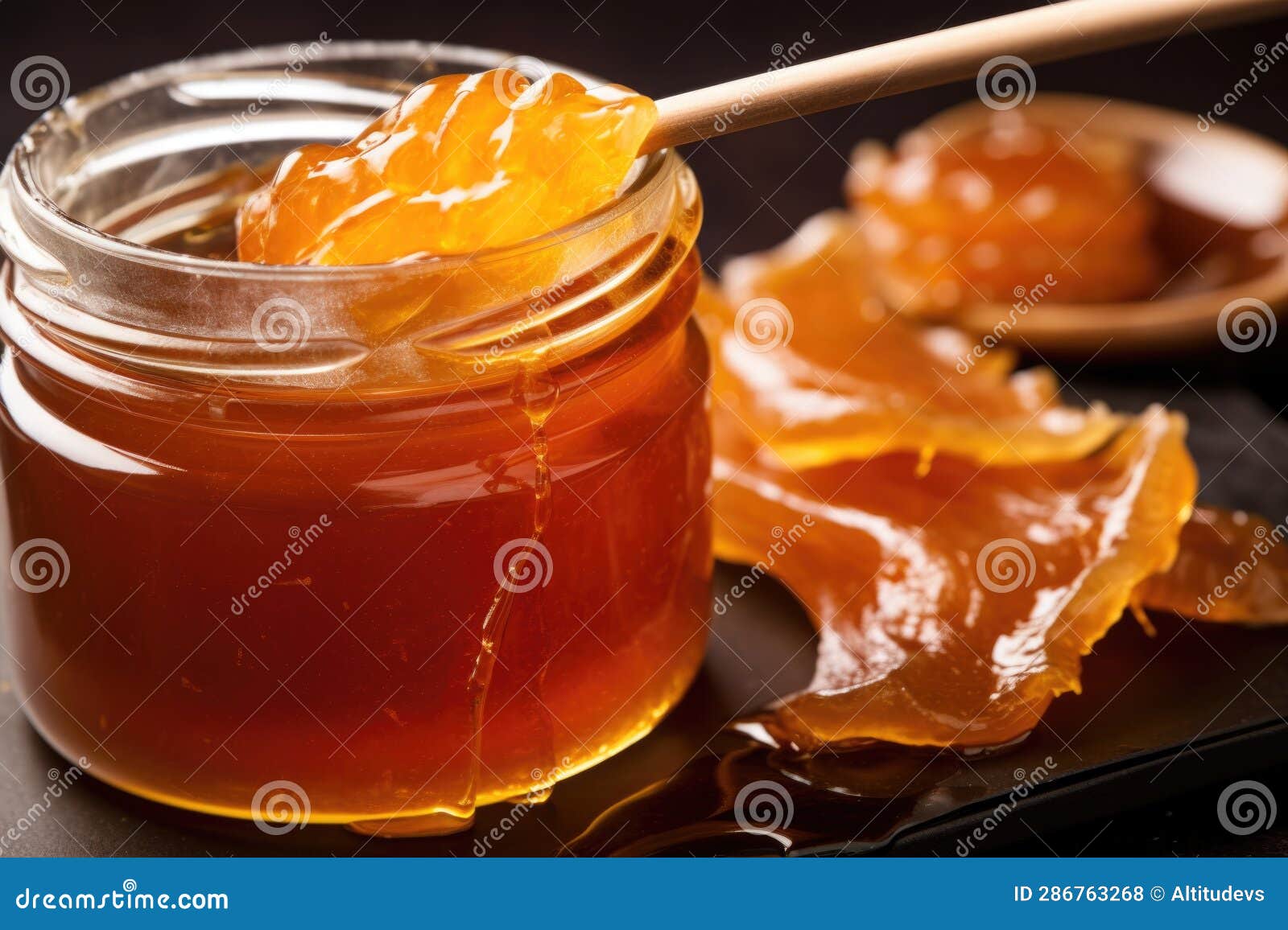 Kombucha SCOBY Mushroom On A White Background Cartoon Vector ...