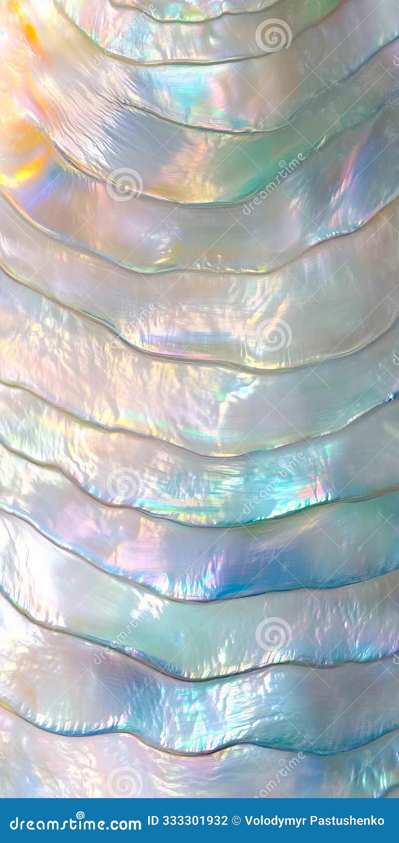 A Close Up of a Large Abalone Shell on a White Background Stock Photo ...