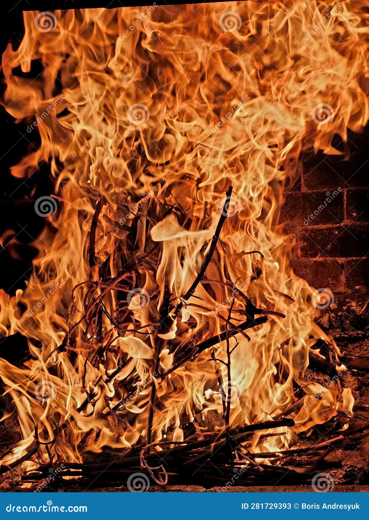 Fire in the Fireplace with Features of Burnt Tree Branches Stock Image ...