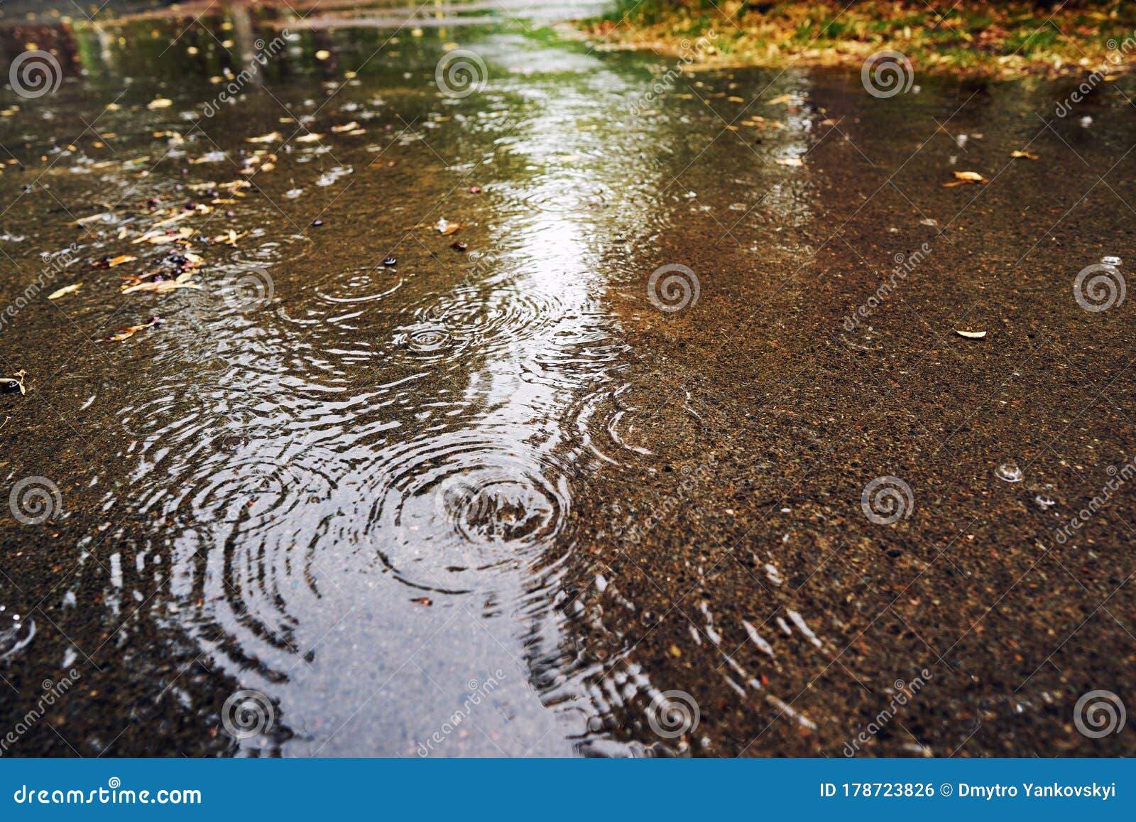 Close-up of a Large Puddle during Rain. Stock Photo - Image of road ...