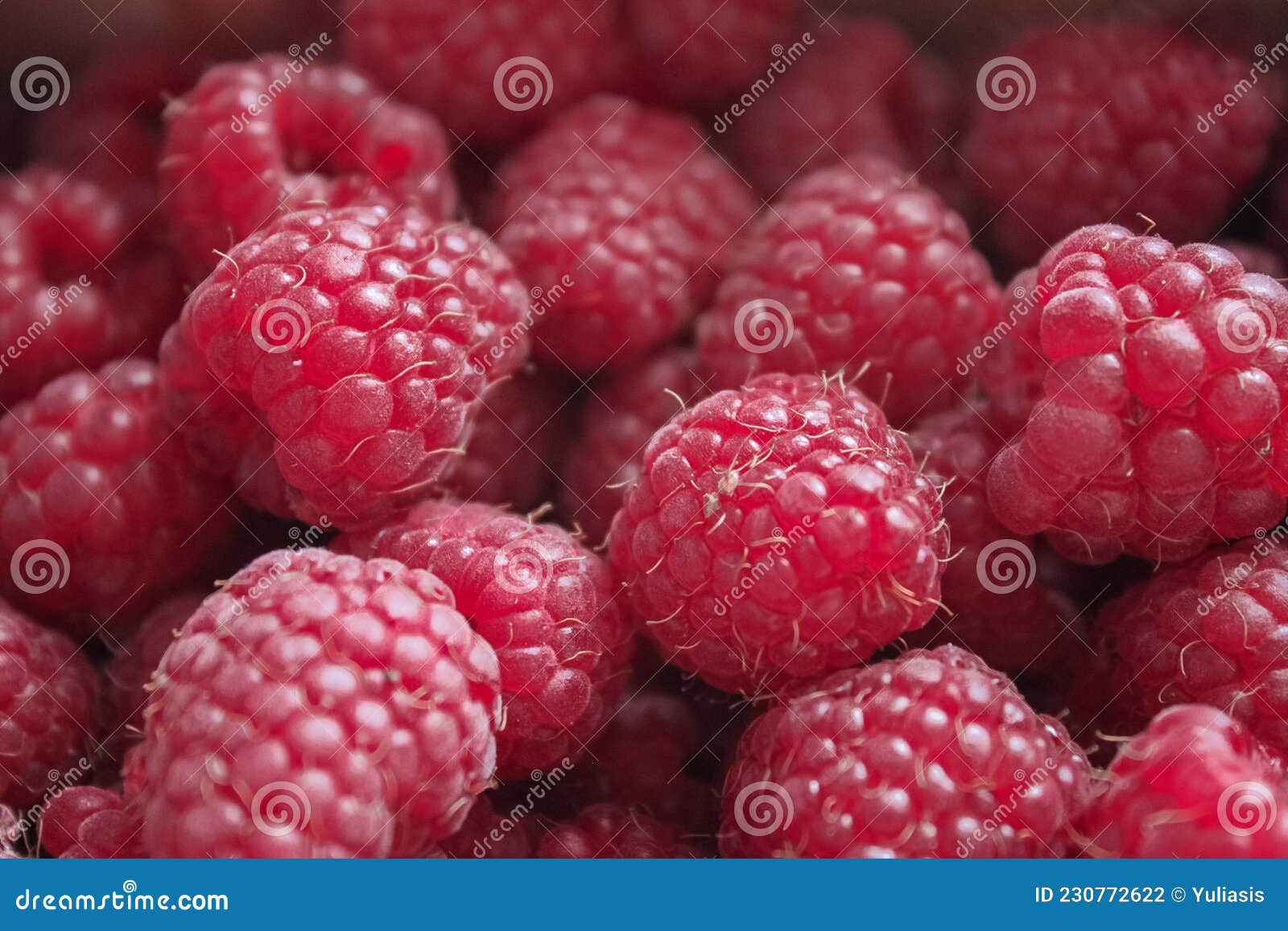 Close-up of Large Ripe Bright Red Raspberries Background. Copy Space ...