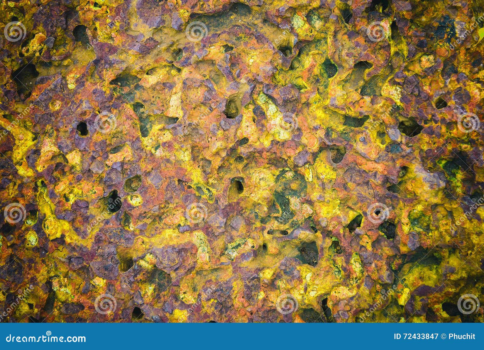 Close Up Of Laterite Stone Block Wall With Green Moss Growth Beautiful ...