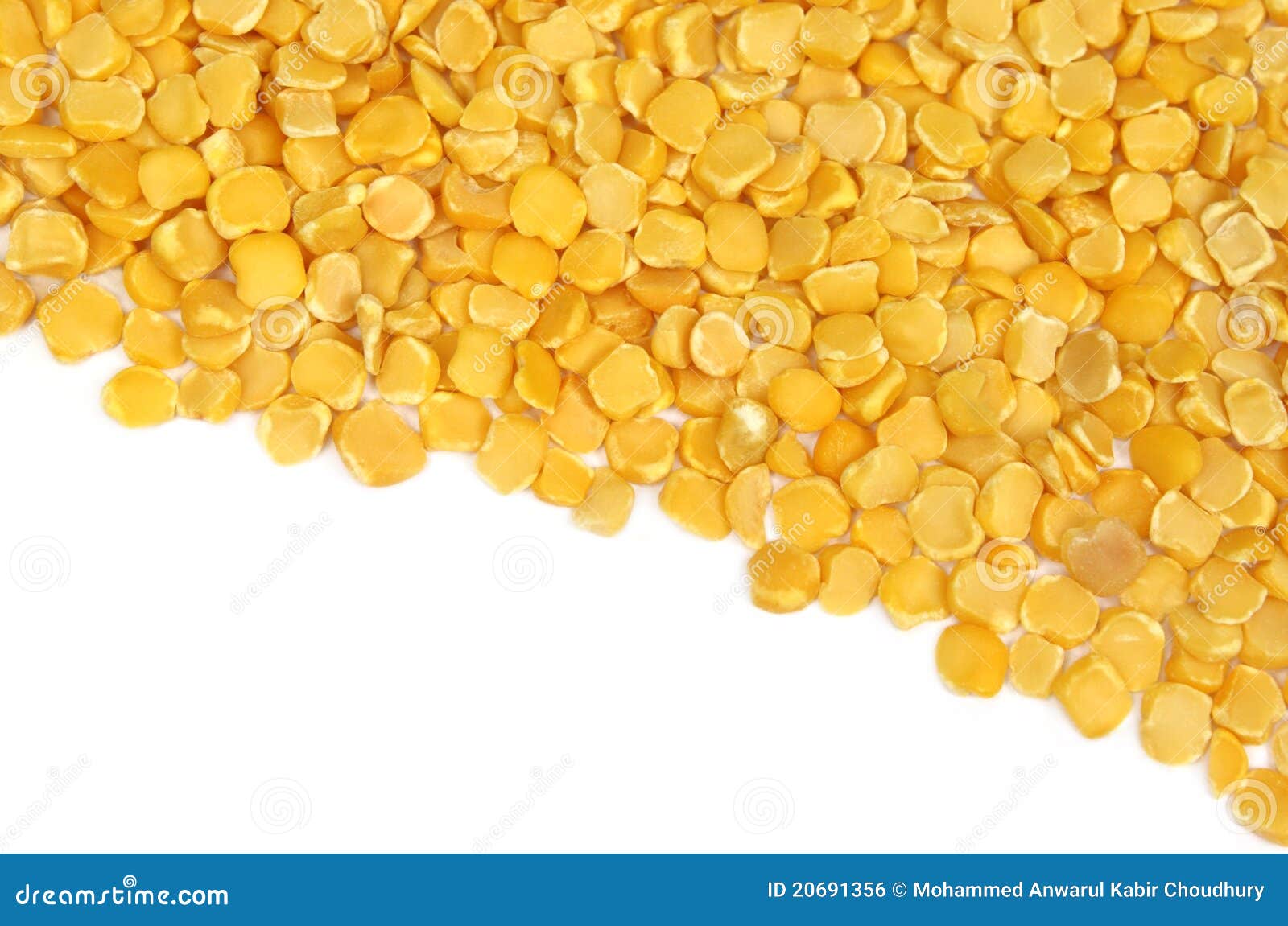 Lathyrus Sativus, Also Known As Grass Pea, Indian Pea, White Vetch, Is ...