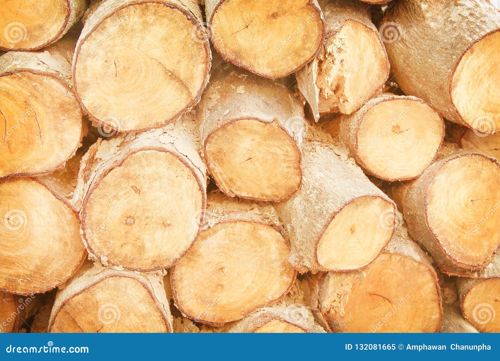 Close Up Layer of Raw Logs Texture , Natural Patterns on Background ...