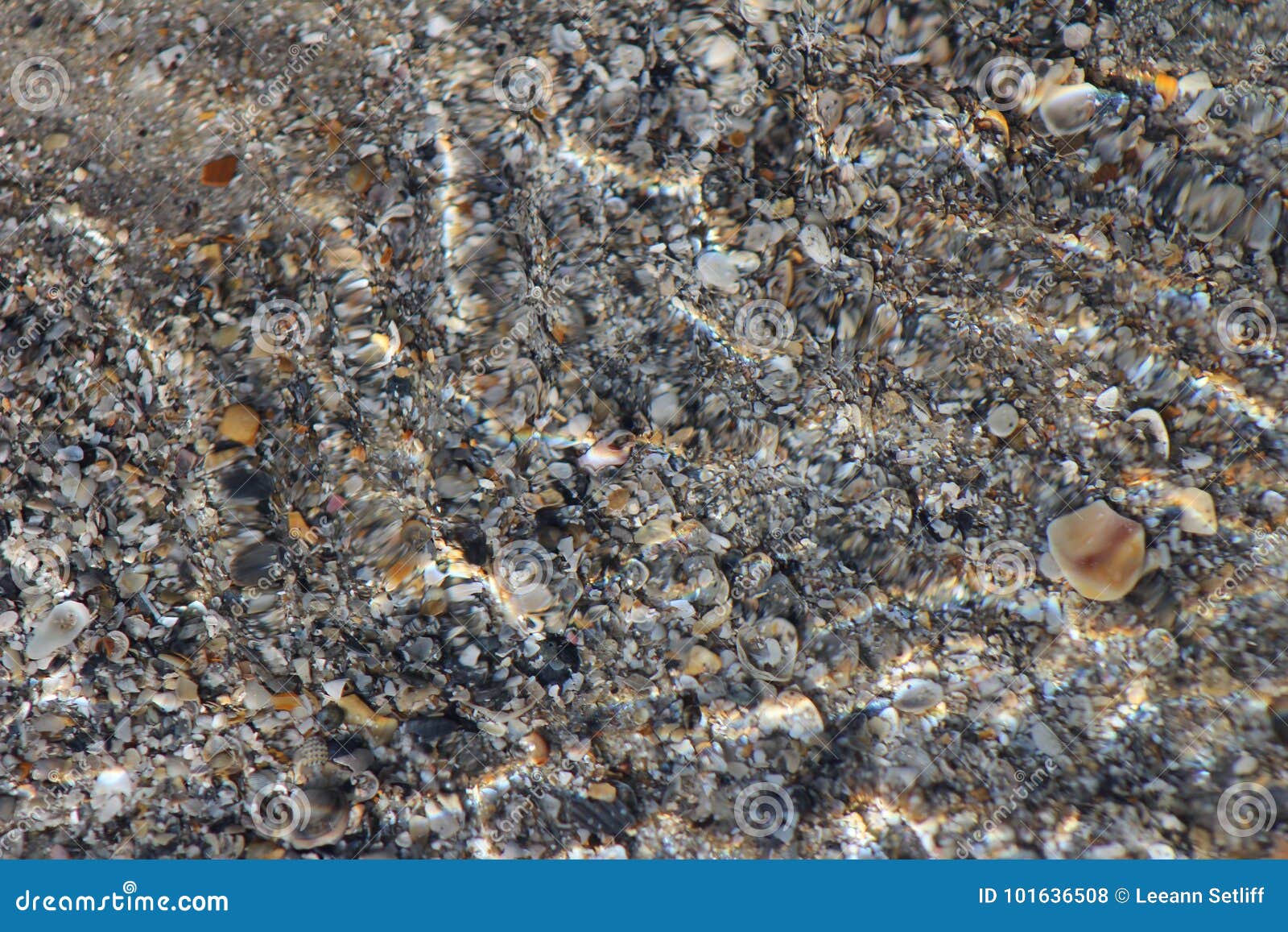 Colored Layers of Seashell Art Stock Photo - Image of rocks, shell ...